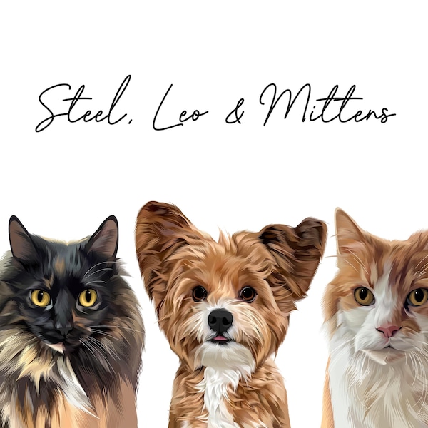 Custom Pet Drawing, Digital Drawing Pet Personalised Pet Drawing ...