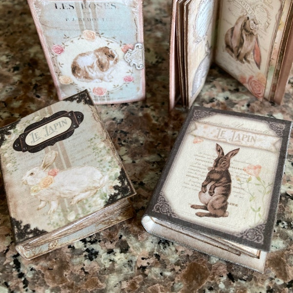 Mini Book, French Rabbit, Junk Journal, Craft Kit, Little, Girl, Baby ...