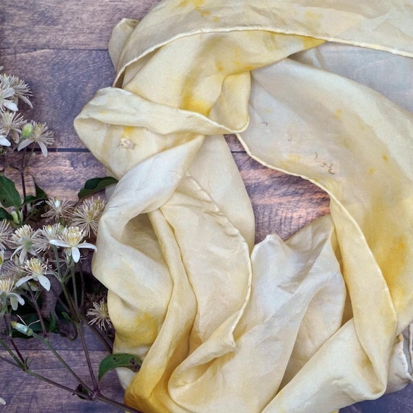 Choose a Natural Dye-annatto Seed Cochineal Insect Cutch Henna Madder ...