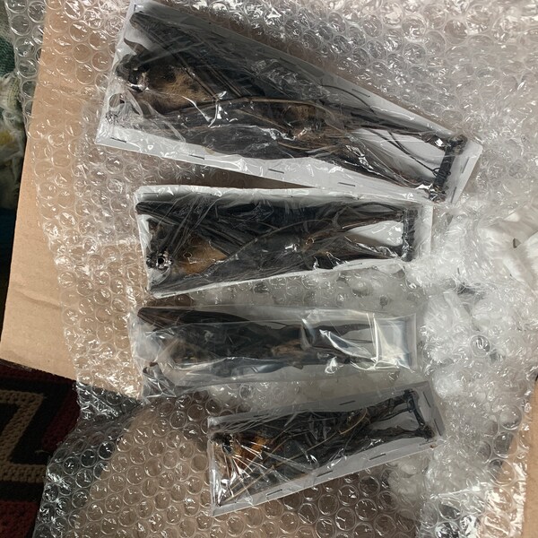 Spider Scorpion Collection All A-1 Different Species Full Data 8X12 ...