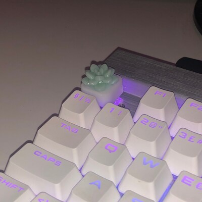 Succulent Plant Artisan Keycap Cherry MX Mechanical Gaming Keyboards - Etsy