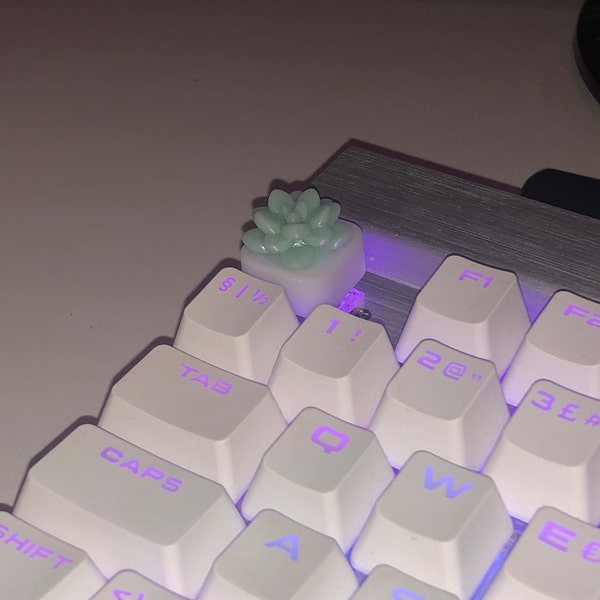 Succulent Plant Artisan Keycap Cherry MX Mechanical Gaming Keyboards - Etsy