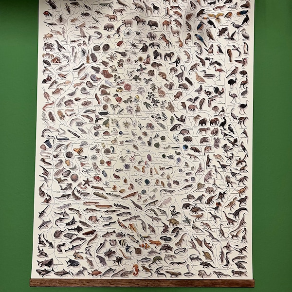 Evolutionary Biology Tree of Life Poster: Educational Nature Art - Etsy