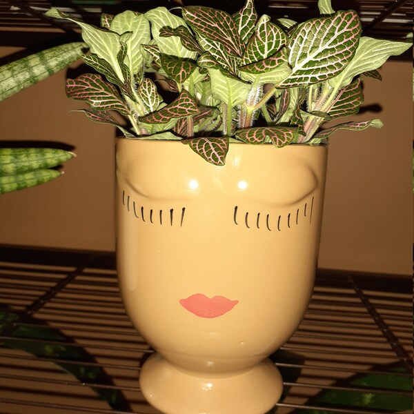 Medium Celfie Vase Face Pot Planter for Cacti or Succulent Plant; Makes ...