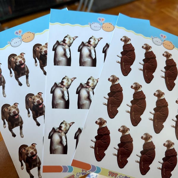 Sushi Sticker Pack, Vinyl Stickers , Sushi Stickers - Etsy