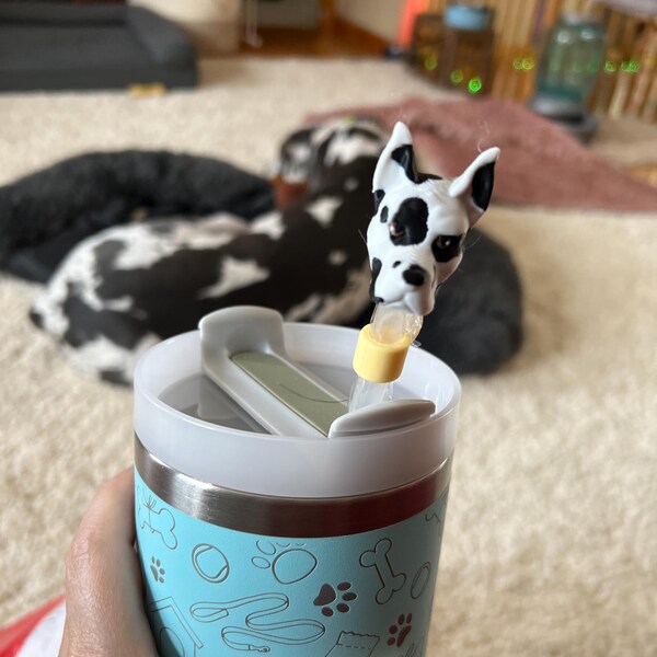 Wicked Dragon Straw Topper * Stanley 30 Oz or 40oz Straw Topper * Fits ...