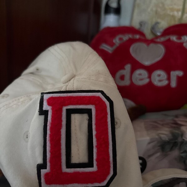 Delta Sigma Theta Clear Tote, Stadium Approved Bag, Gift - Etsy