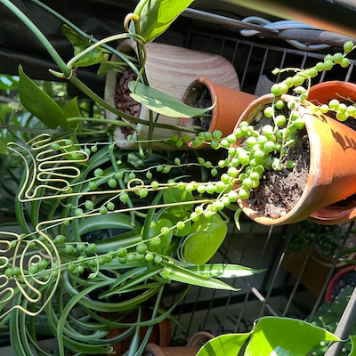 Sun and Moon Beaded Garden/ Potted Plant Stake/ Plant Trellis for ...