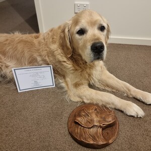 Cane Corso Dog, Cast Stone Wall Sculpture by PERITAS - Etsy