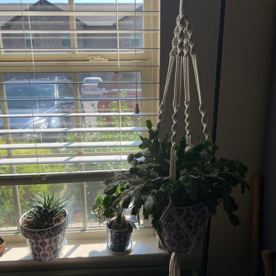 Hand Crafted Macrame Plant Hanger Lamb's Wool 35 - Etsy