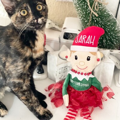 Shirt for Dad, Modelo Especial, Father's Day Gift, Fathers Day Gift ...