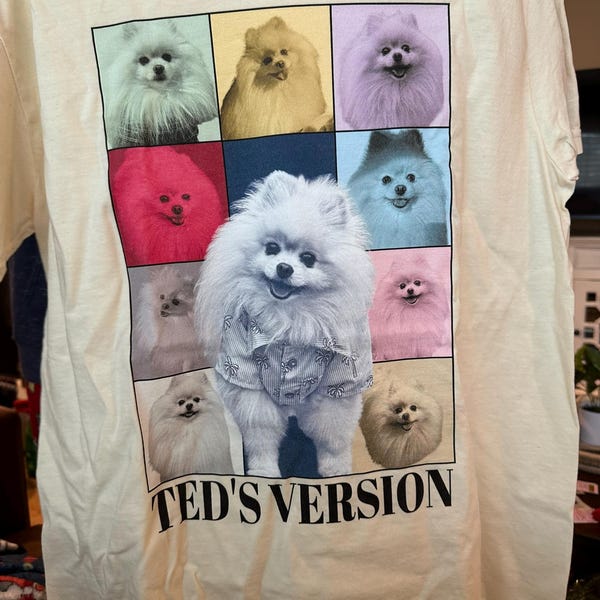 Customizable Eras Comfort Colors Tee, Eras Tour Gift for Dog Mom, Swift ...