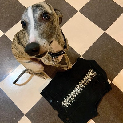 Spine Back Patch Spinal Column Skeleton Patch Bones Patch - Etsy