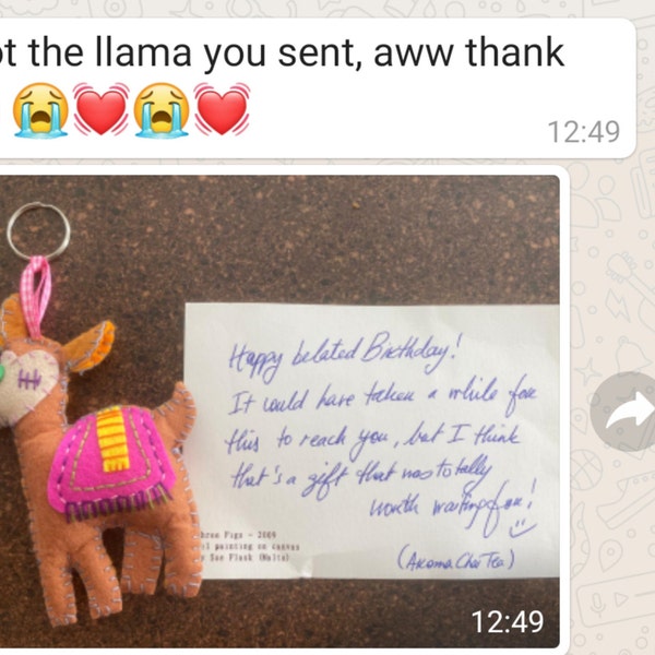 Pigeons Handmade Hand Stitched Key Chain Pigeon Bird Felt Collectable ...