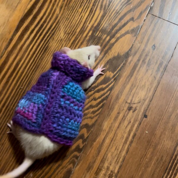Rat Sweater Cozy Sweater Pet Sweater Red Heart Yarn New Colors Updated ...