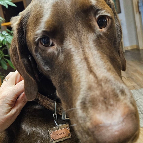 Large Dog Tag - Personalized Pet ID Tag With Hand Stamped and Engraved ...