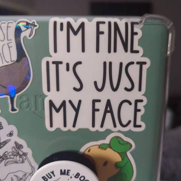 I’m Fine It’s Just My Face, Funny Water Bottle Sticker, Laptop Sticker ...