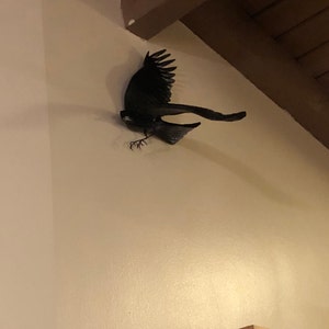 Hawk Woodcarving Flying Sculpture by Jason Tennant - Etsy