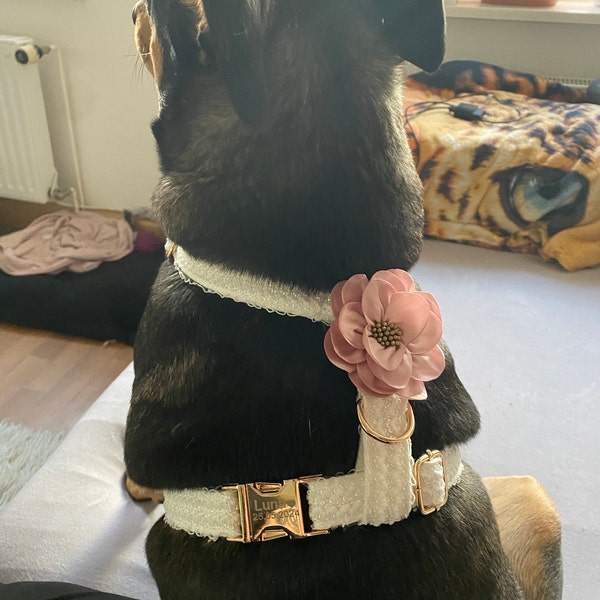 Custom White Lace Personalized Fancy Wedding Dog Collar or Dog Flower ...