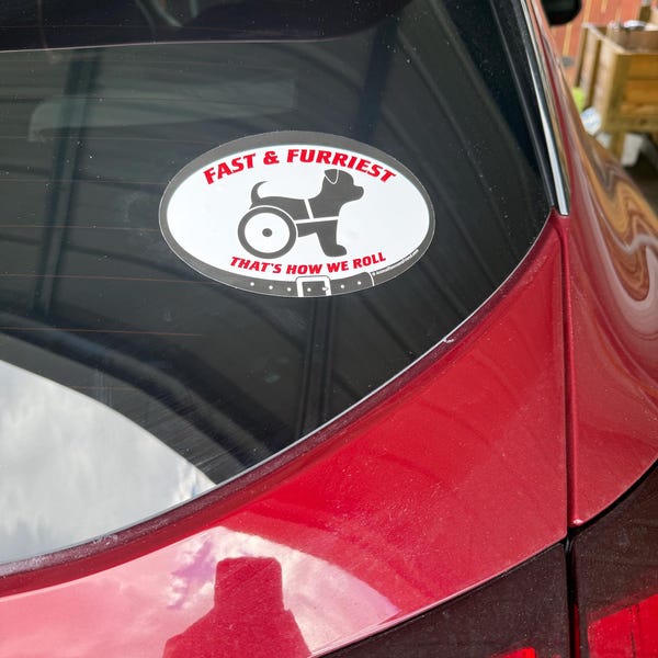 DECAL - I Love Feral Cats - 4x6 Oval - TNR - Trap Neuter Return - Cat ...