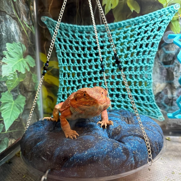 Bearded Dragon Lizard Pillow Swing; Papasan Style, Multiple Sizes ...