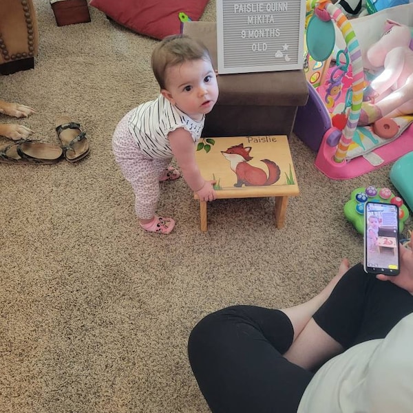 Kids Step Stool, Fox Step Stool, Wildlife Step Stool, Kids Foot Stool ...