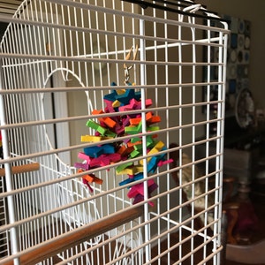 Cockatiel Ladder | Etsy