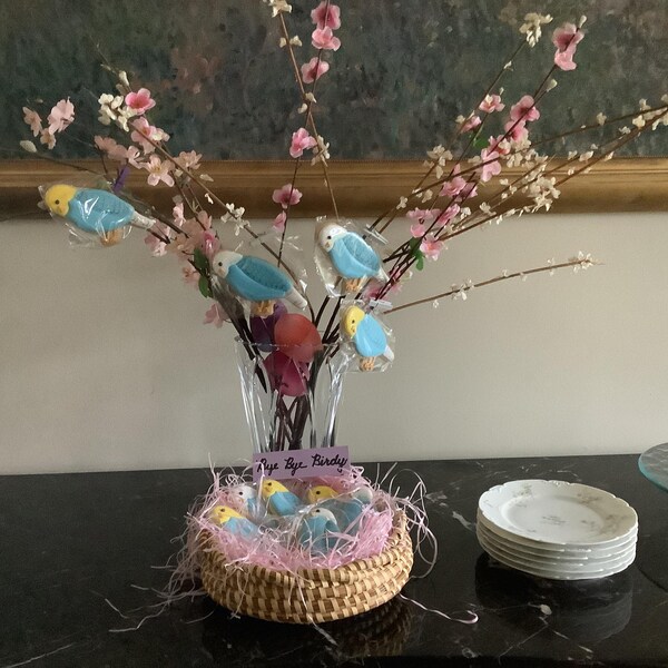 Parakeet Cookies, Bird Cookies - Etsy