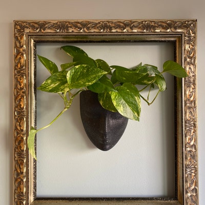Face Wall Planter Succulent Pot Indoor Planter Wall Hanging Head Pot ...