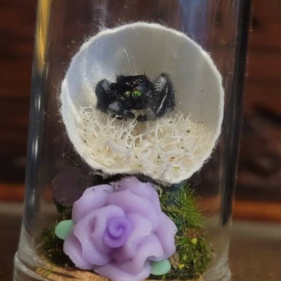 6x6x12 Tall Avatar Themed Jumping Spider Enclosure - Etsy