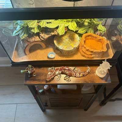 Aura Snail Gemstone Snail Paper Weight - Etsy