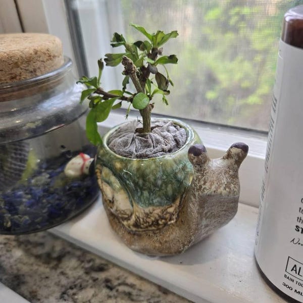 Bunny Rabbit Pot Hugger for Flower Pot • Gardening Gifts • Unique ...