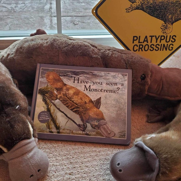 Children's Book (platypus): 'have You Seen A Monotreme?' - Etsy