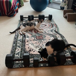 Premium Quality Lemon Grass Green Tufted Solid Rug 100% Wool 3x5 , 4x6 ...