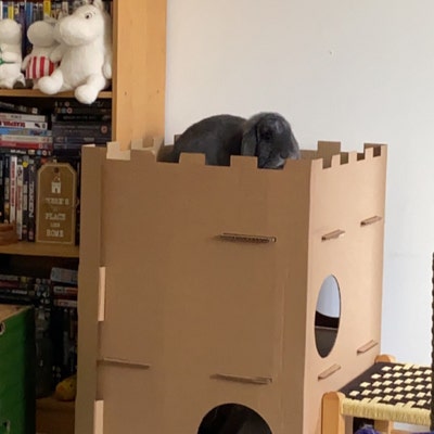 The Castle Corrugated Cardboard Castle for Bunny Rabbits & Cats - Etsy UK