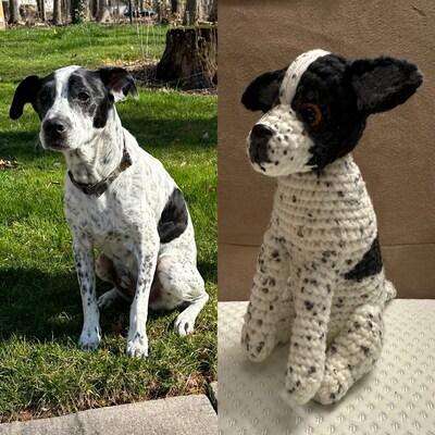 Custom Stuffed Dog, Custom Dog Plush, Custom Crochet Dog, Custom Pet ...