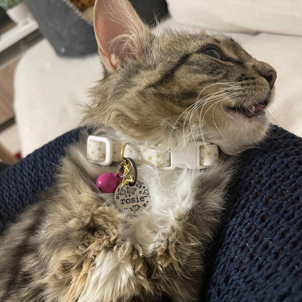 SMALL PETS Cat Tag, Small Dog Tag, 3/4 Pet ID Tag, Tag for Small Dog ...