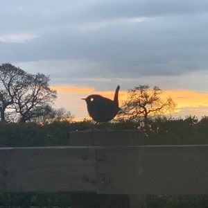 Metal Wren Rusty Garden Bird Art Decor Fence Topper Pergola Allotment ...