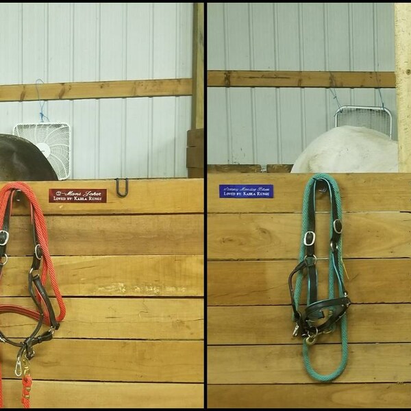 Saddle Tag,engraved Brass Horse Tack, Saddle Name Plate Customized for ...