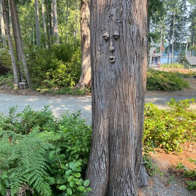 Forrest Stump Concrete Tree Face, Birthday Gifts, Gardeners Gift, Glass ...