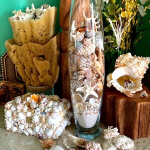 Seashell Cross Graduation Wedding White Seashells Beach - Etsy