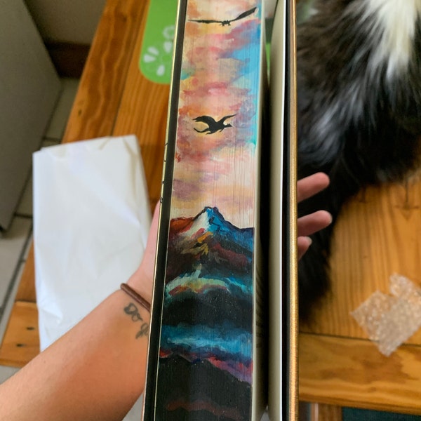 Fourth Wing Book Edge Painting - Etsy