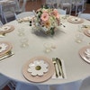 Cloud Shaped Paper Plates, Dinner Plates, Cake Plates, Disposable ...