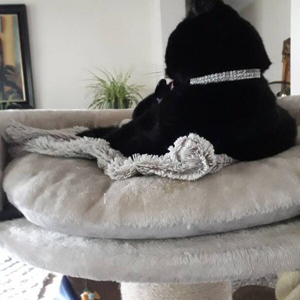 Wingstop Restaurant MLO for GTA V Fivem | High-quality Interior Mapping ...