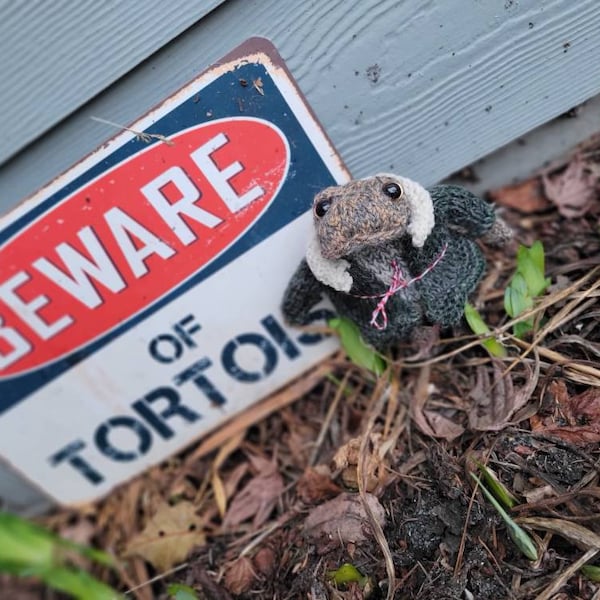 MR. TOAD - Knitting Pattern - Etsy