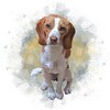 Custom Pet Portrait in Memory of Dog Pet Personalized Gift for Pet ...