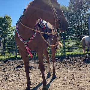 Tie Down Keeper/ Saddle Tassel - Etsy