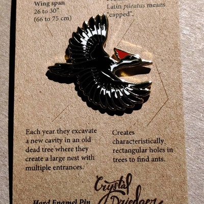 Pileated Woodpecker Hard Enamel Pin - Etsy
