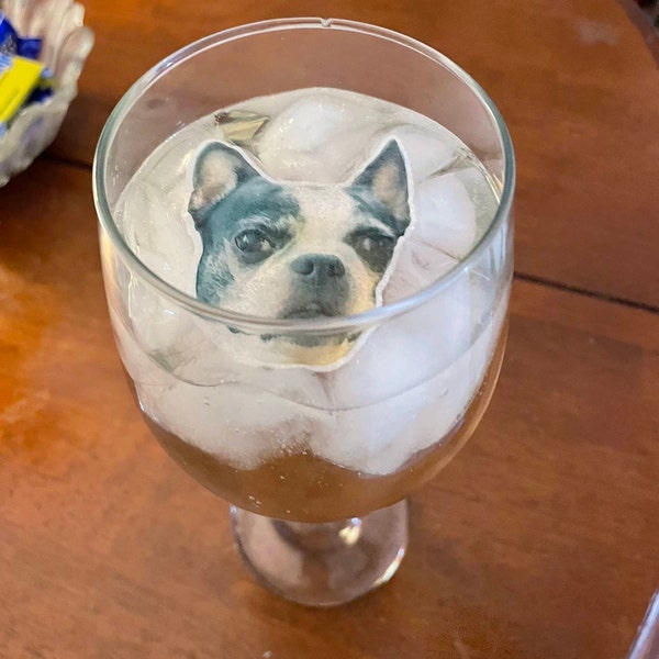 Pet Portrait Cut-out Wafer Drink Topper, Cocktail Topper, Custom Edible ...