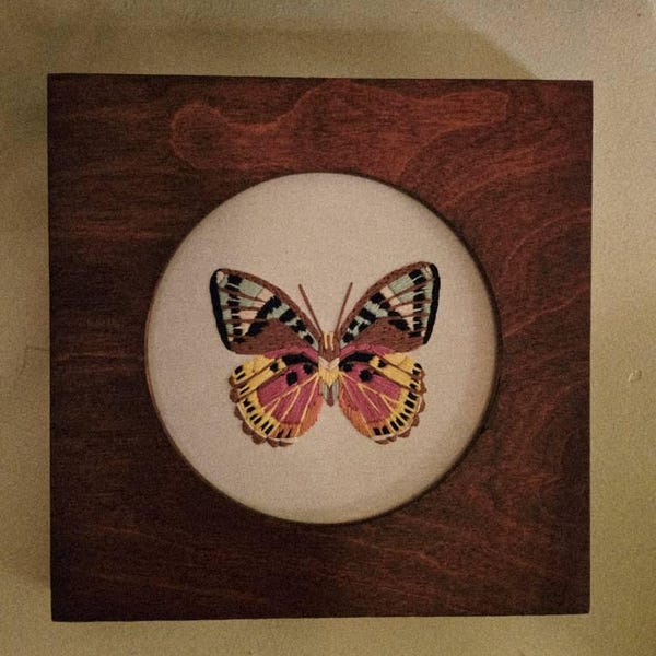Square Birch Embroidery Hoop Frame: Modern Hand-stitched Art Display - Etsy